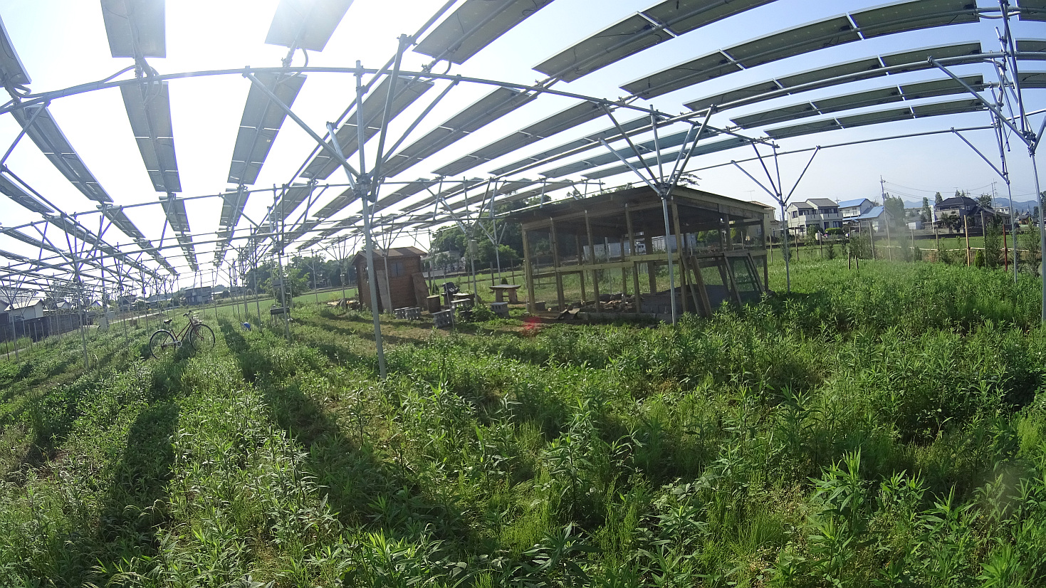 Solar Sharing - Made In Japan: What is solar sharing?