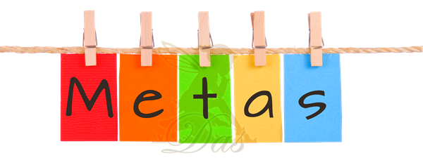 Construyendo metas : SIGNIFICADO DE METAS