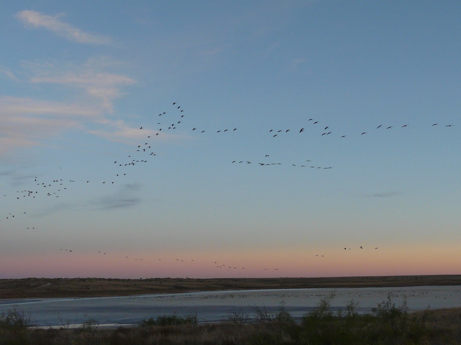 Archiving throughout Arizona, New Mexico, Oklahoma, and Texas: Muleshoe ...
