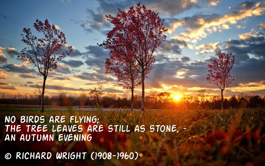 CARPE DIEM HAIKU KAI: Carpe Diem Modern Times Haiku #5 Richard Wright's ...