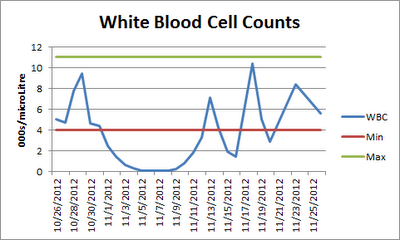 Greg's bout with Multiple Myeloma: November 2012