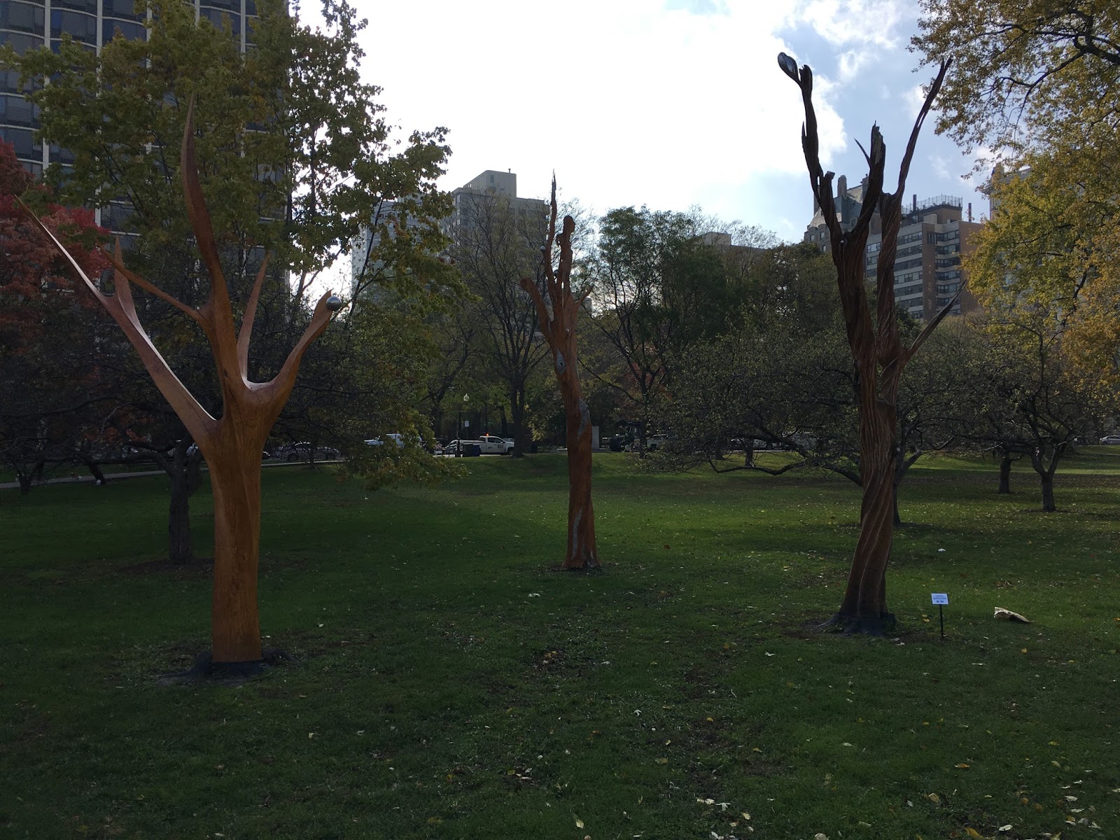 The Chicago Real Estate Local: Chicago Tree Project in Lincoln Park