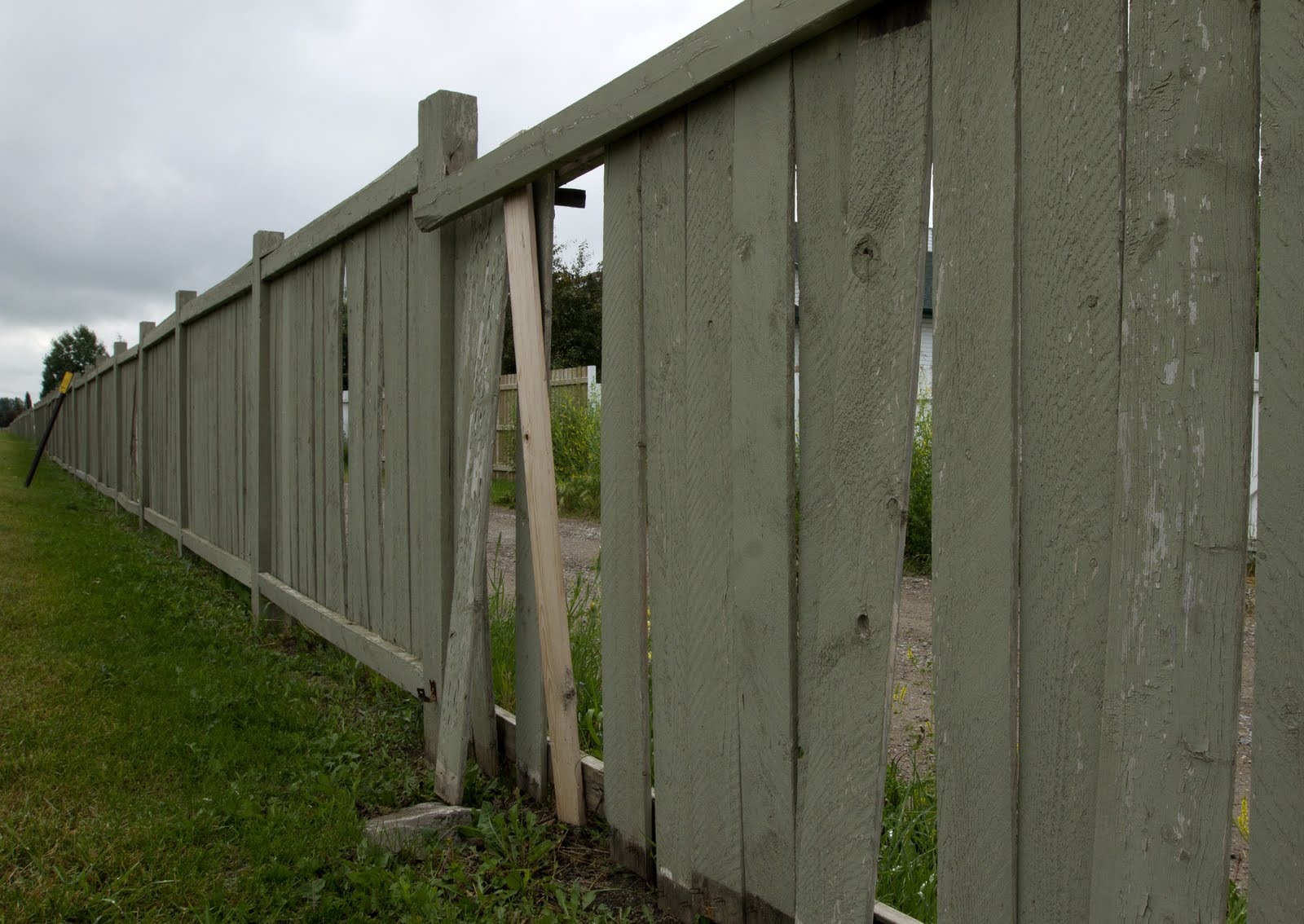Rachel Psutka | Photojournalist: July 2011