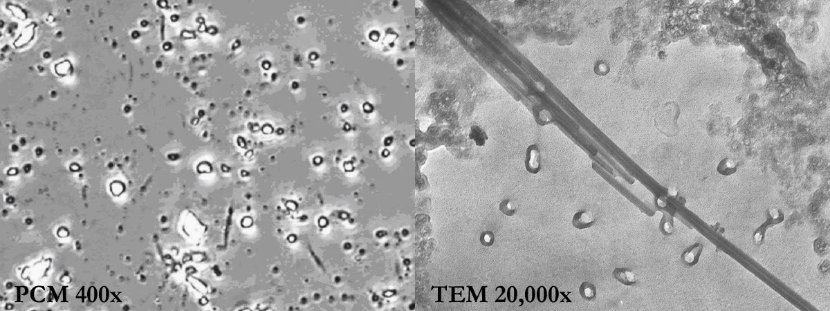 Environmental Remediation & Demolition Blog: What is the difference ...