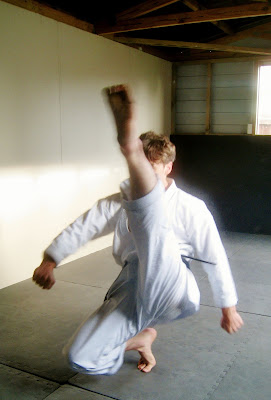 André Bertel's Karate-Do: Techniques from any movement or position: The ...