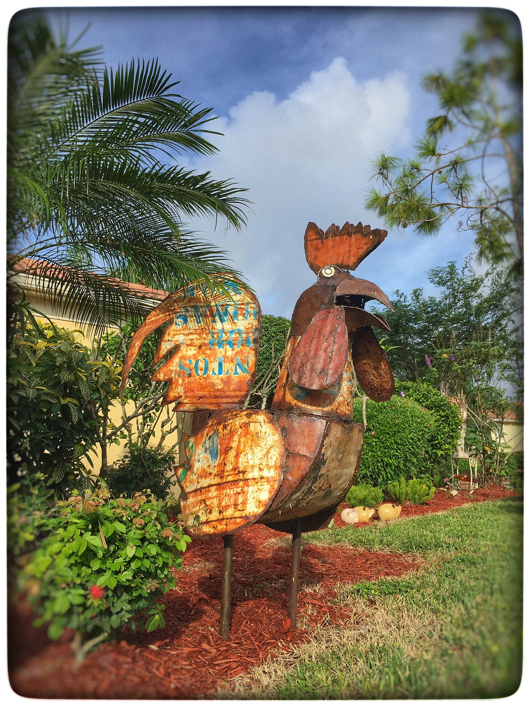 icaryn: Rusty the Rooster