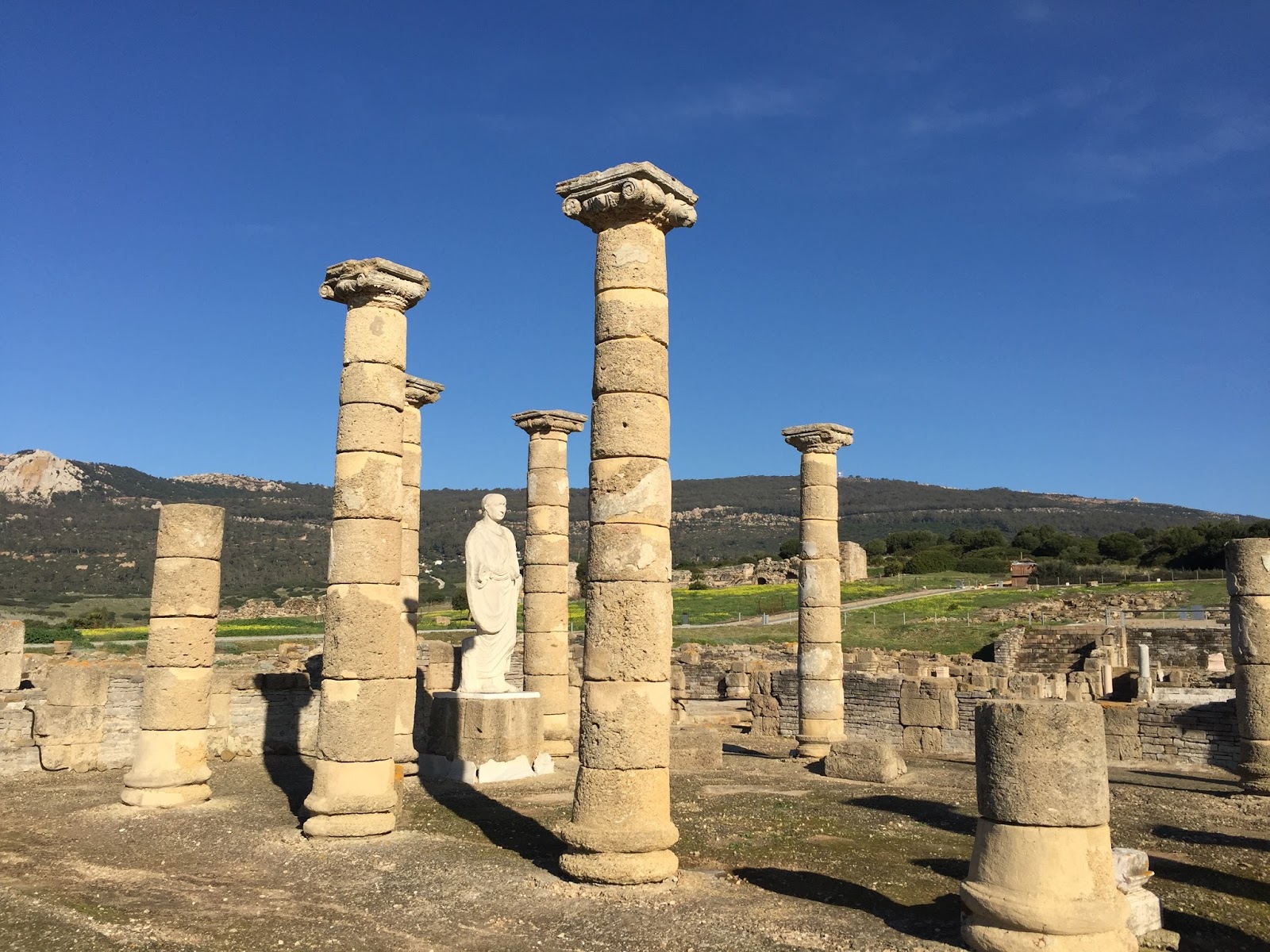 Tocho T8: Baelo Claudia y la Triada Capitolina