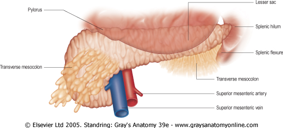 science for life: Adrenal Glands, Pancreas and Local Hormones.
