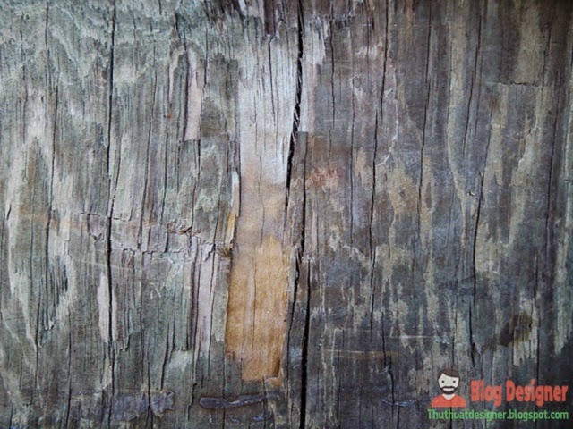 Texture gỗ và tường đẹp cho Designer | Blog Designer | Website | Lập ...