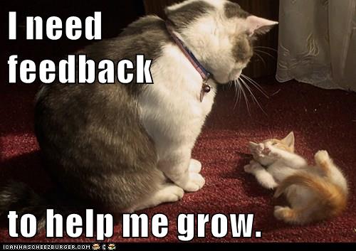 Growth Mindset & Feedback Cats: I need feedback to help me grow.