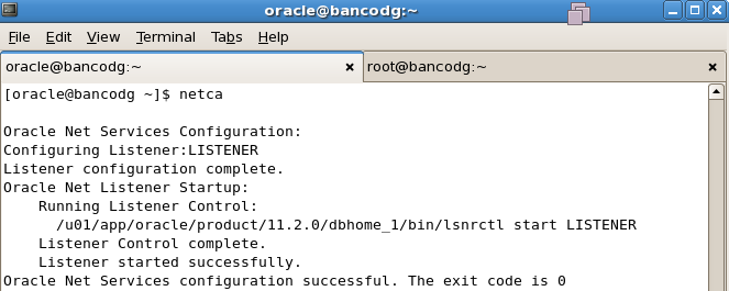 Creating an Oracle Listener using NETCA Creating an Oracle Listener using NETCA