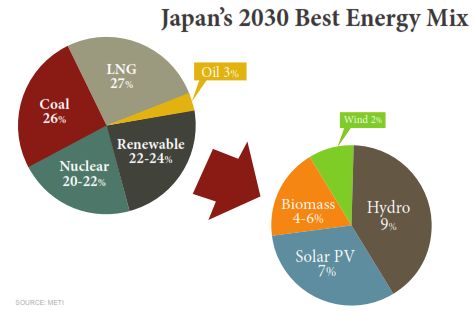 Biomass Industrial Innovative Projects: Delay in the Construction of ...