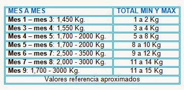 Peso ideal en el embarazo ~ Los sinsabores de la dulce espera