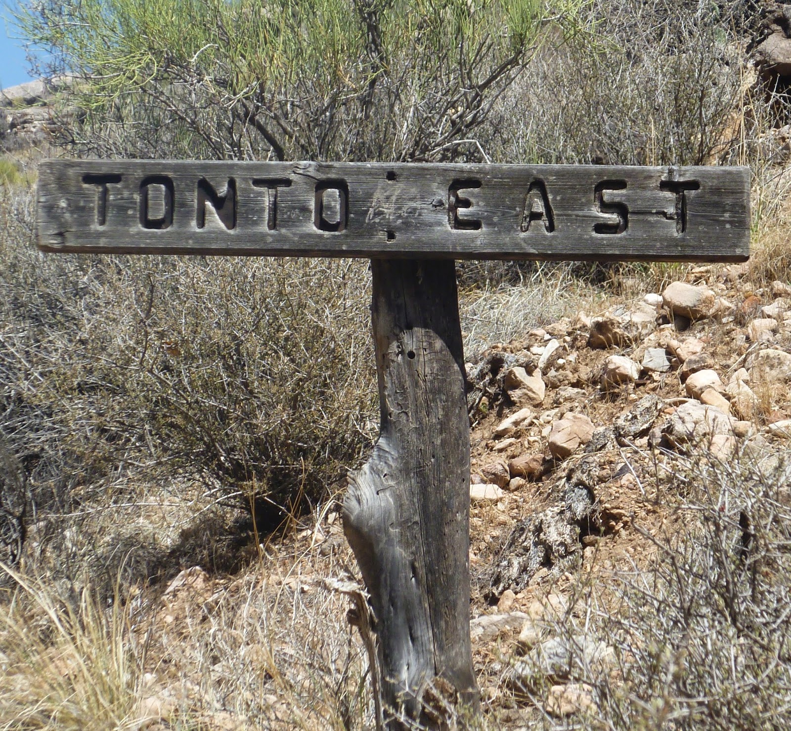 Mather Campground Host Blog