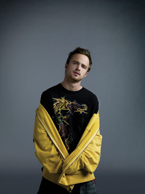 Shady's Place: Breaking Bald: Homeboy Jesse Pinkman Returns to Shady's ...