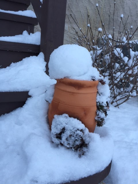 That's Life: Finally we have snow