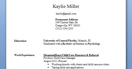 Child Case Manager Resume Format in Word Free Download