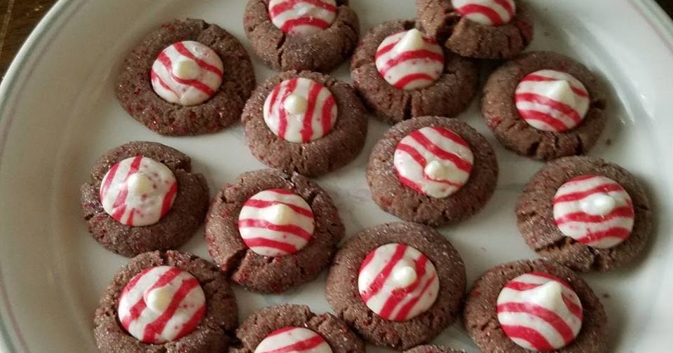 The Story Fanatic: Book Report!!!