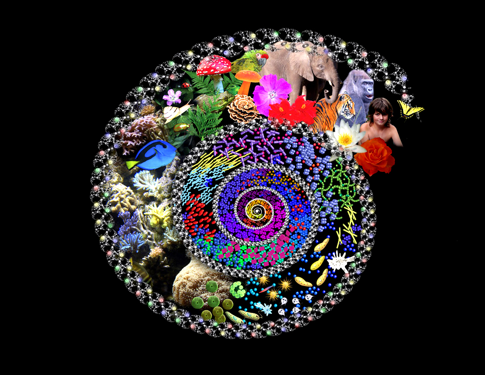Philosophical Anthropology Human Evolution Enters An Exciting New Phase