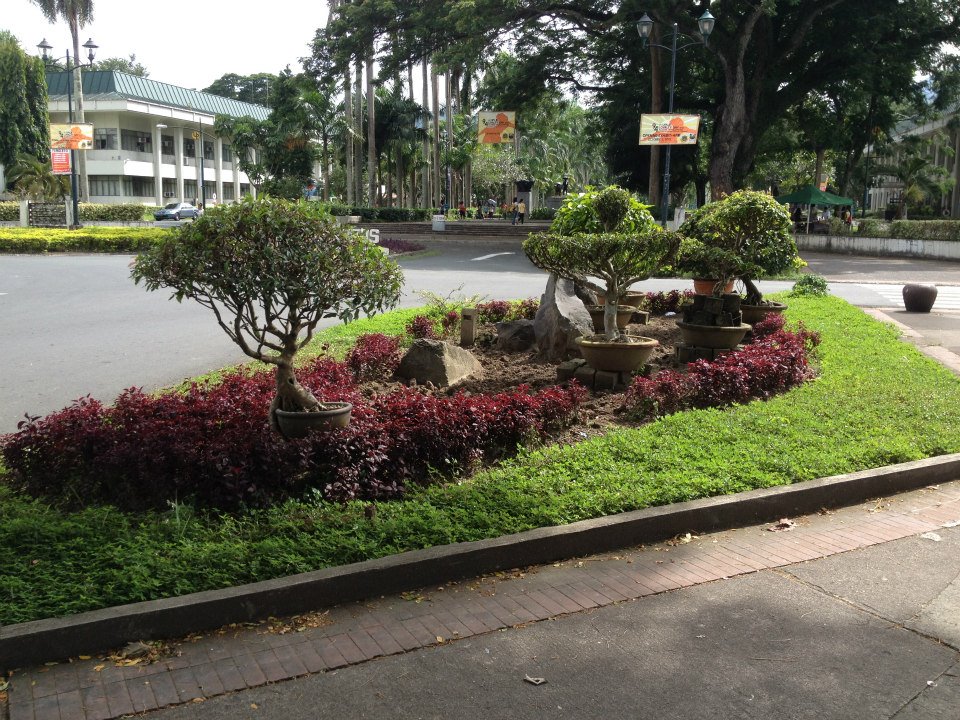 Philippines: 21st Century Parks: UPLB Carabao Park