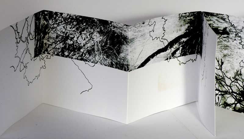 Charlton Stitcher: Digital Mark making