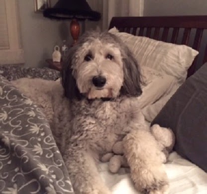 Feathers And Fleece Farm