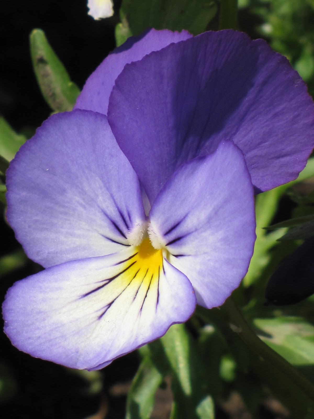 Hobby de mamica - photo, responsabilitate sociala si altele ...