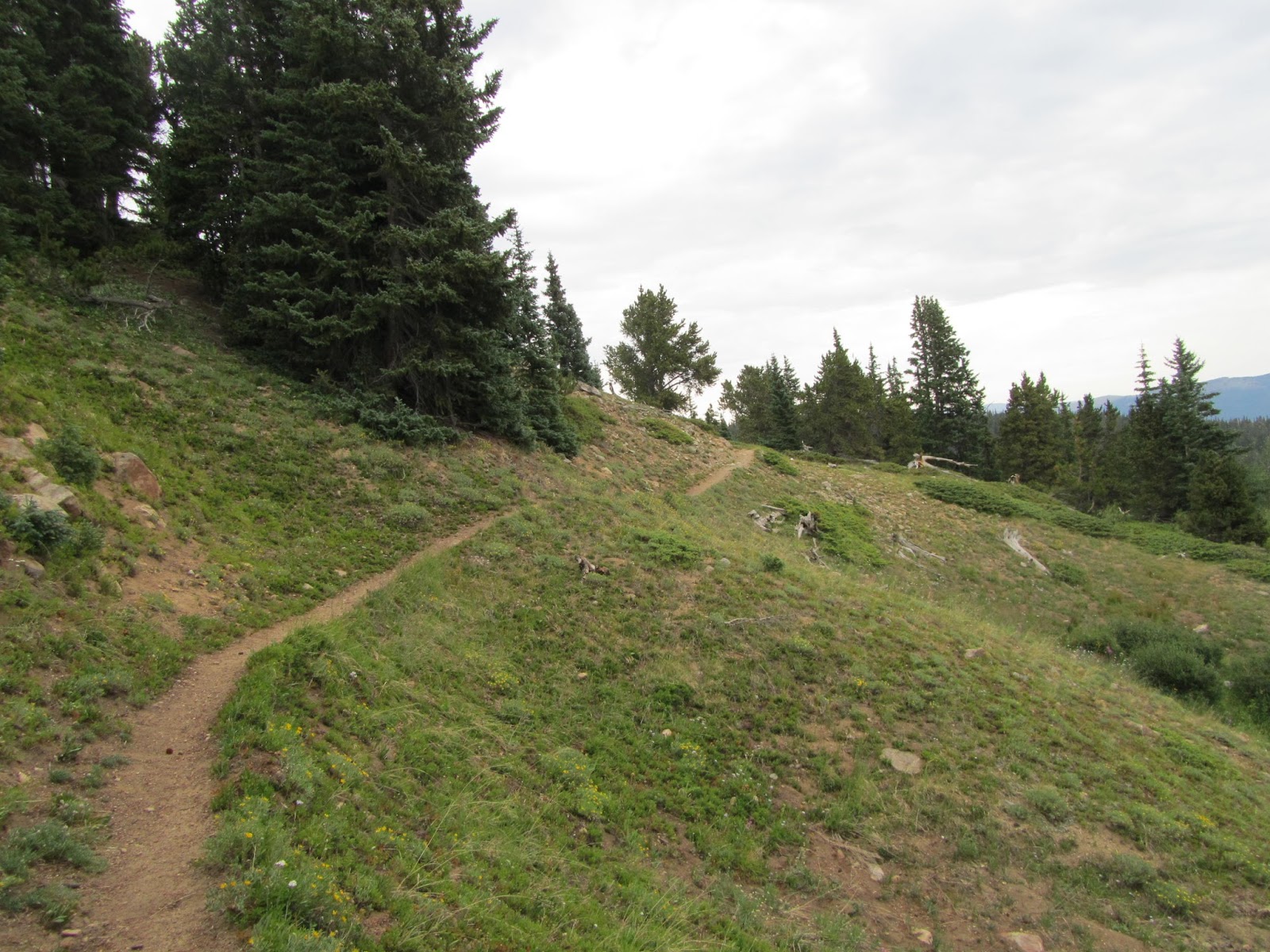 Tomcat's Outdoor Adventures: Backpacking the Collegiate Loop