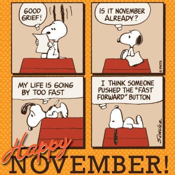 Hello November + an announcement!