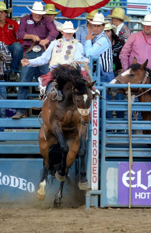 Random Images from a Nightowl: Reno Rodeo June 22, 2011