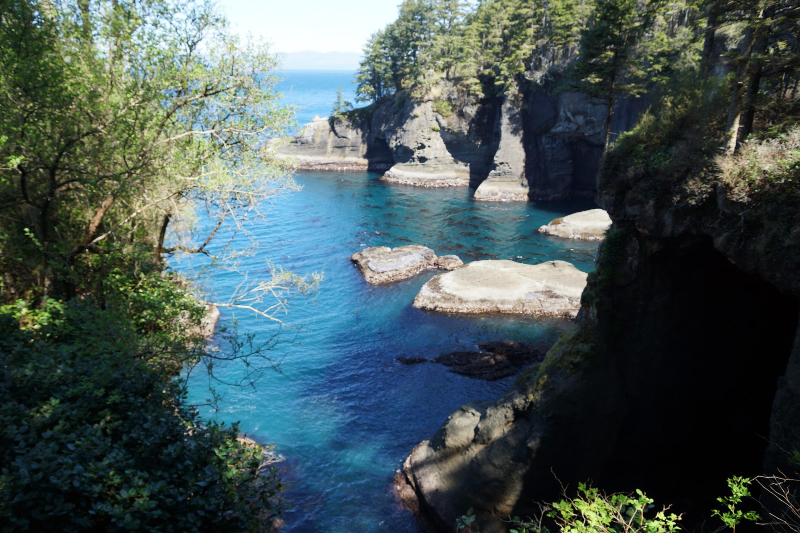 cape flattery and shi shi beach adventures - teacups and cinnamon