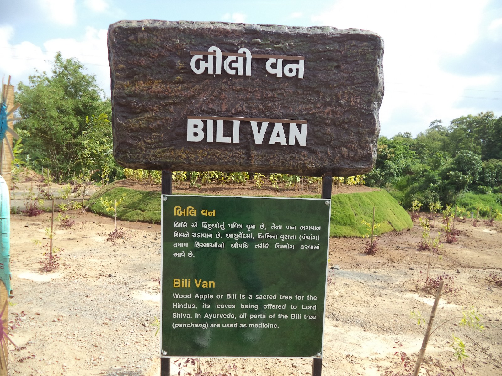 Dr. Nitin's Compass: Navigating Mapless Journeys: Janki Van at Bhinar ...