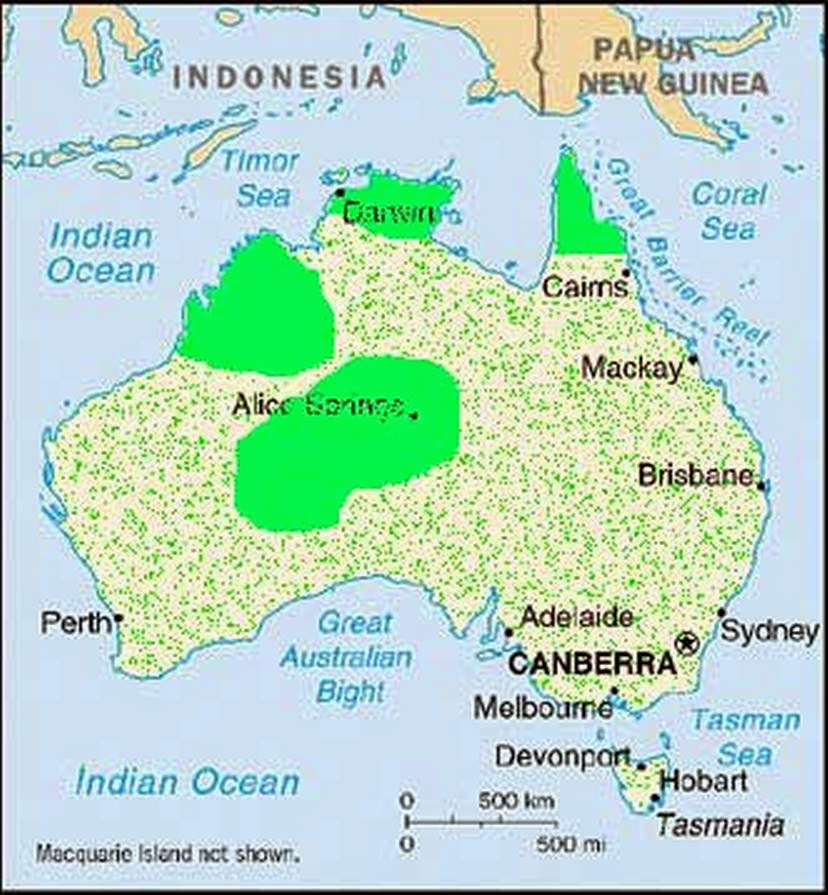 The Native Australians (Group 7)