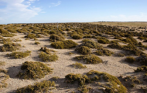 Geografia: Ecorregiones de América