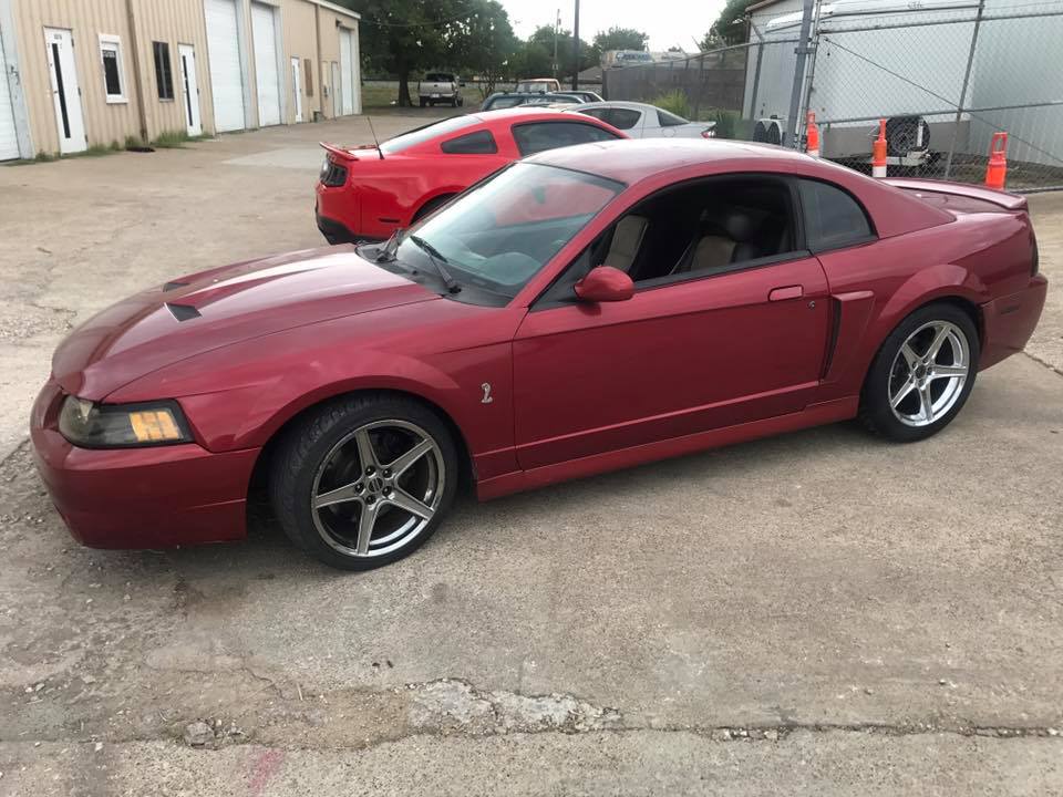Whiteboy's Mustangs: 2003 mustang redfire terminator