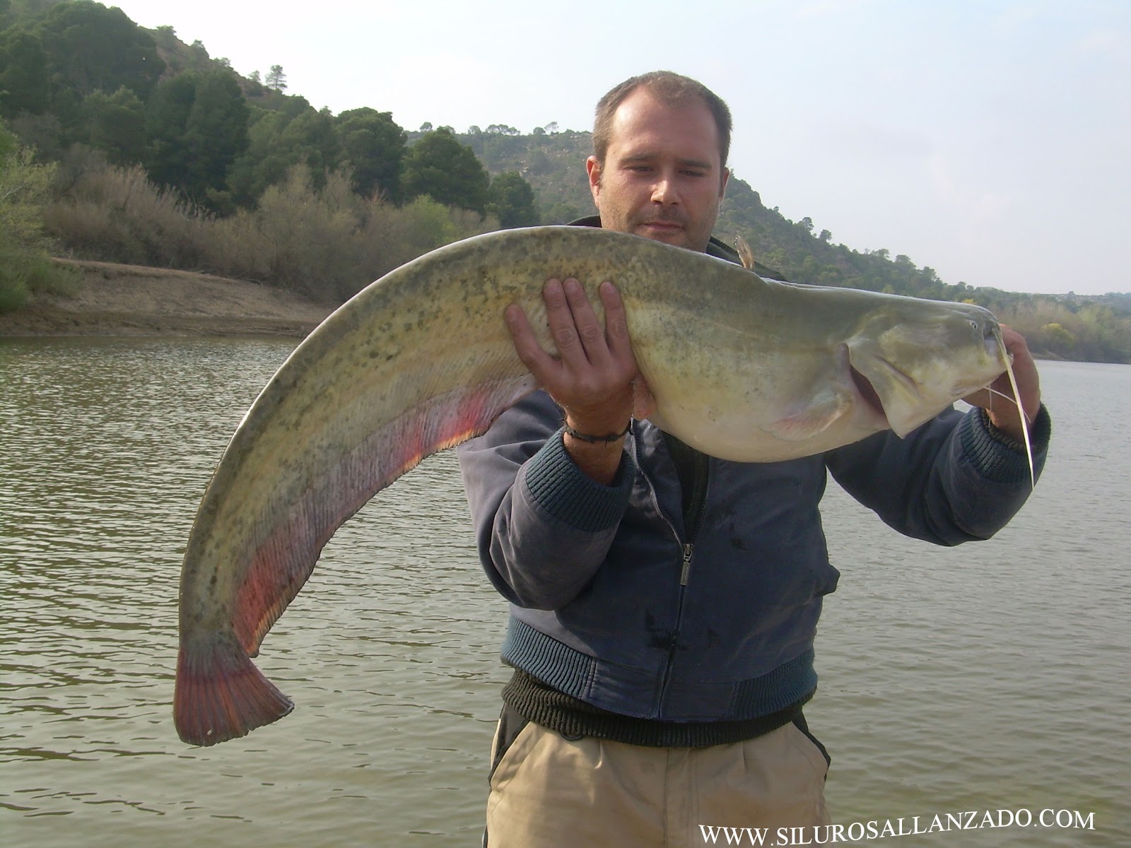 PESCA DEL SILURO EN EL EBRO: PESCA DEL SILURO AL LANCE
