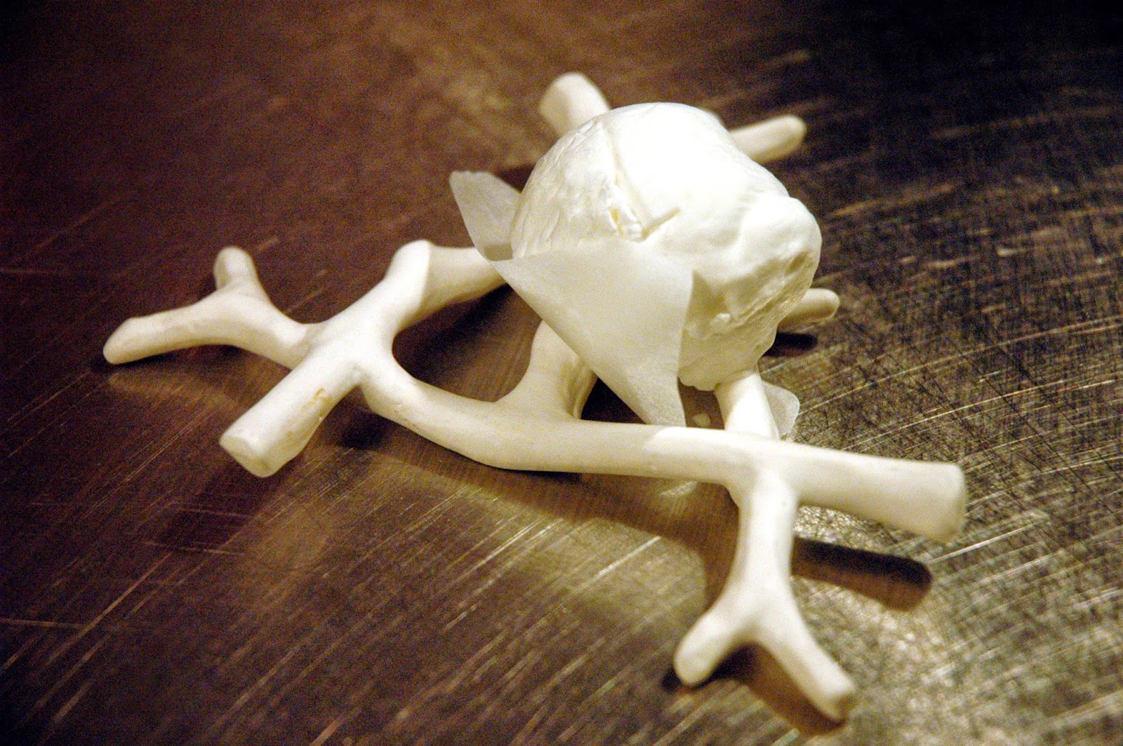 DUDE FOR FOOD: The Vask Experience