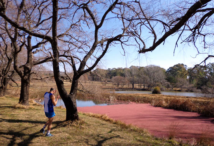 AdventureLisa: The gem that Huddle Park will be