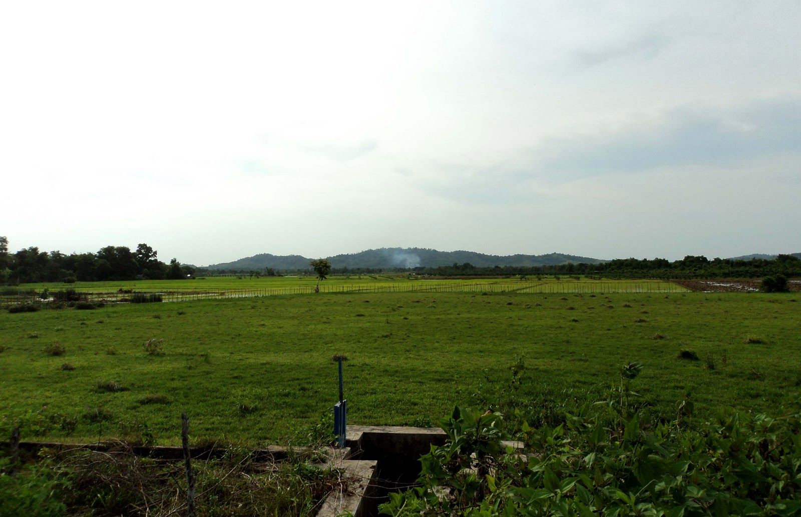Pelaihari Ulun: Pesona Keindahan Menuju dan di Pantai Batakan Pelaihari