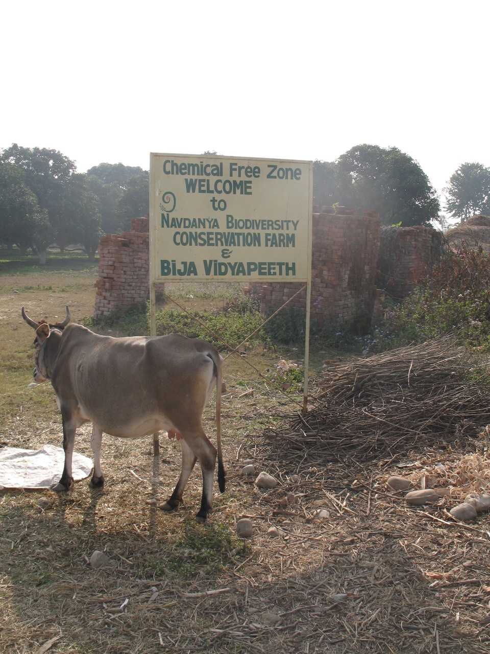 A Life Divided: A Visit to Navdanya