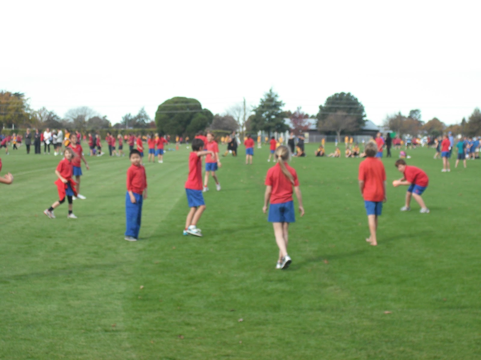 Bledisloe School - Room 13: An outing, some finished art and our visitors