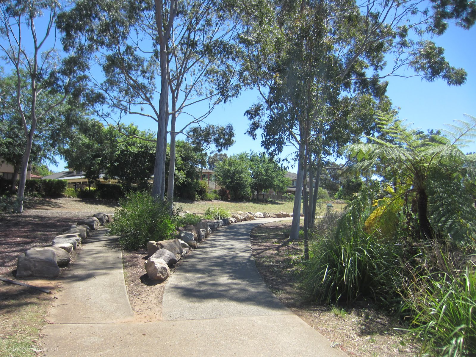 Wholesome: Wattle Grove - Completing Sydney