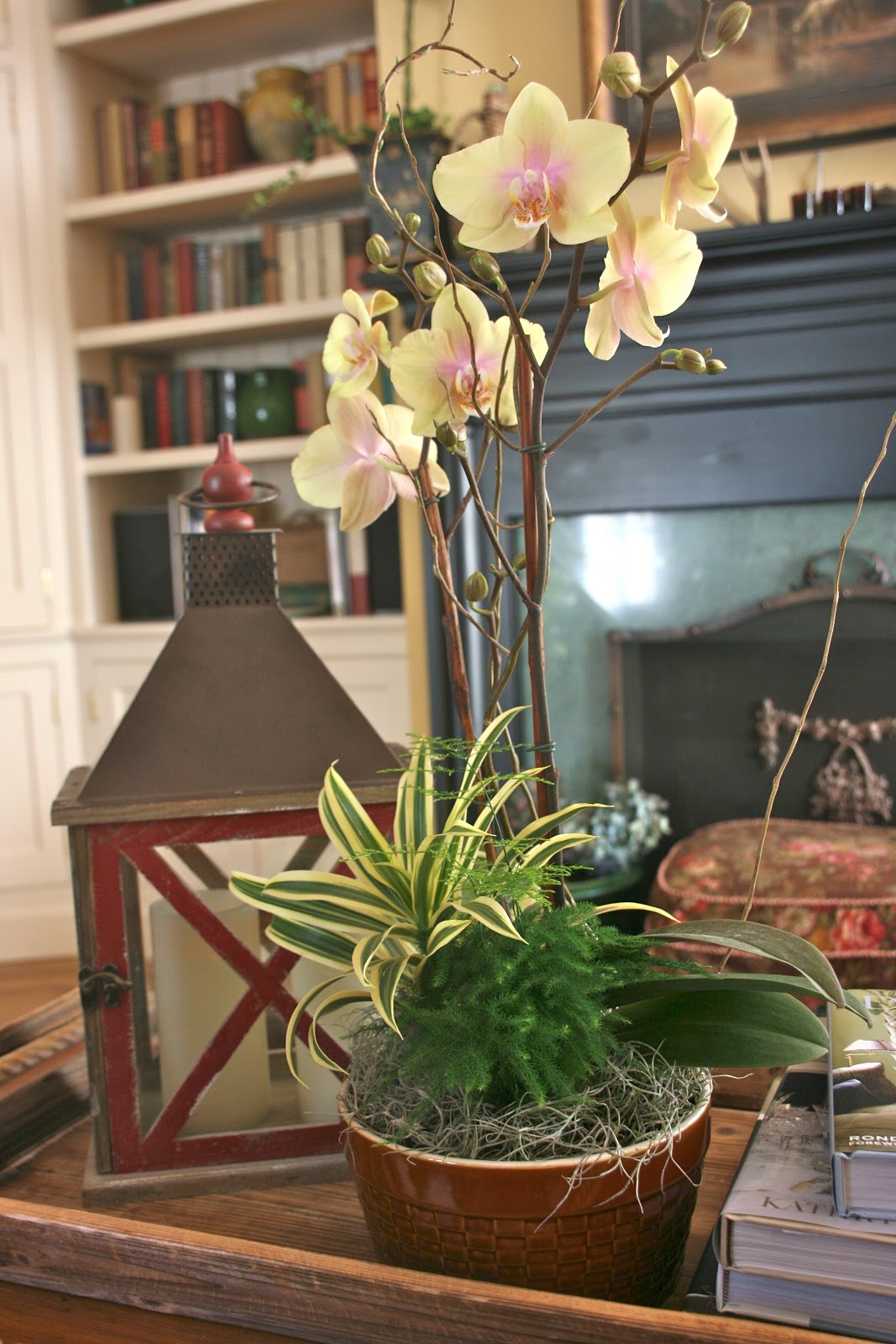 vignette design: All Spruced Up!