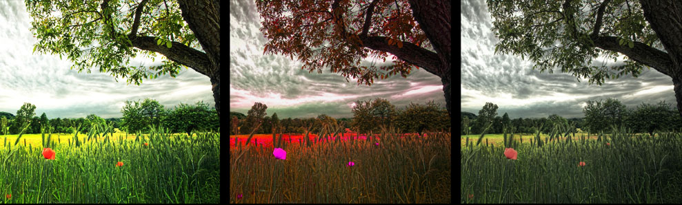 Innovative Second Life : Second Life Photography - Tips & Tricks For ...