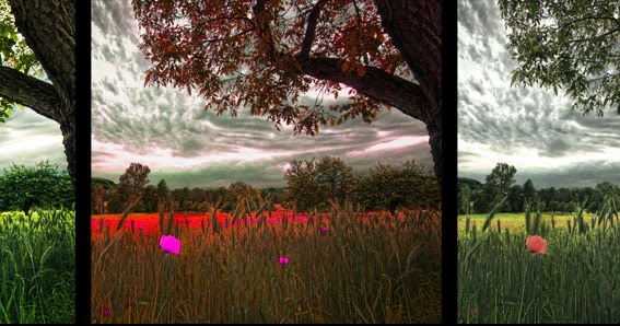 Innovative Second Life : Second Life Photography - Tips & Tricks For ...