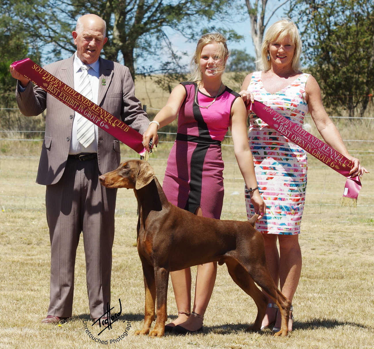 TraffordPhotos - Australian Dog Show Photos: Southern Midlands Kennel ...