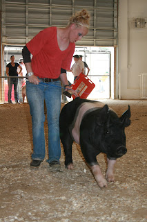 National Swine Registry: 2011 National Barrow Show Overall Champion ...