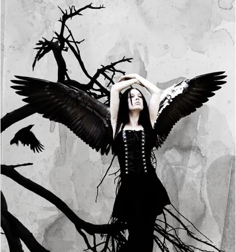 Andy foto natura: Ángeles góticos