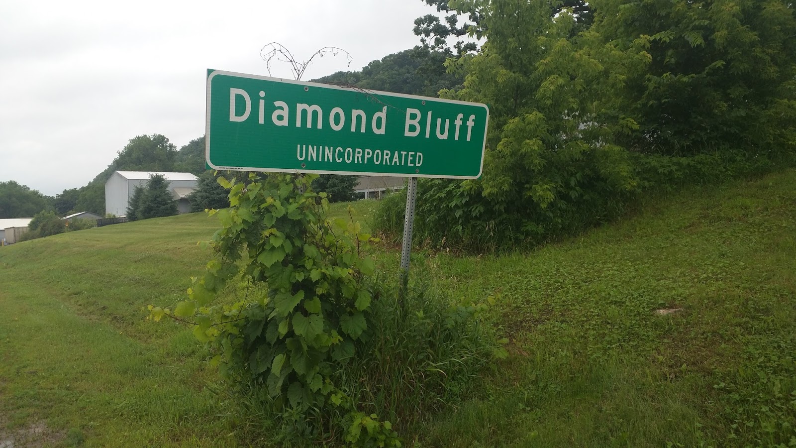 In Search of the Real America • Summer 2017 • Day 3 – Green Olive Tours