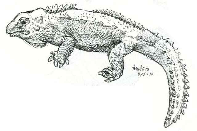 Art by Jeane Nevarez: tuatara